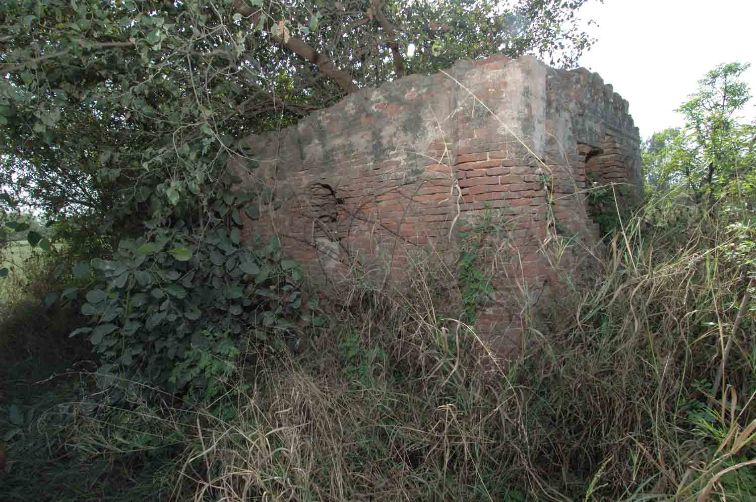 Collections-Virtual Museum of Images and Sounds