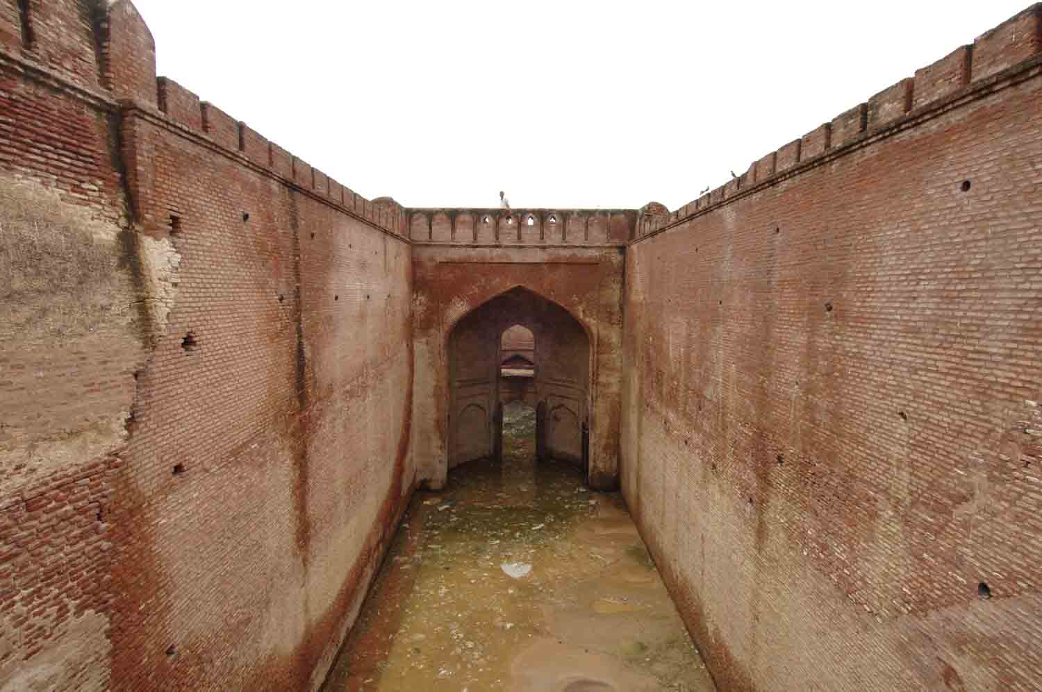 Collections-Virtual Museum of Images and Sounds