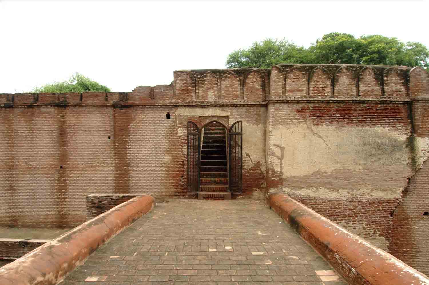 Collections-Virtual Museum of Images and Sounds